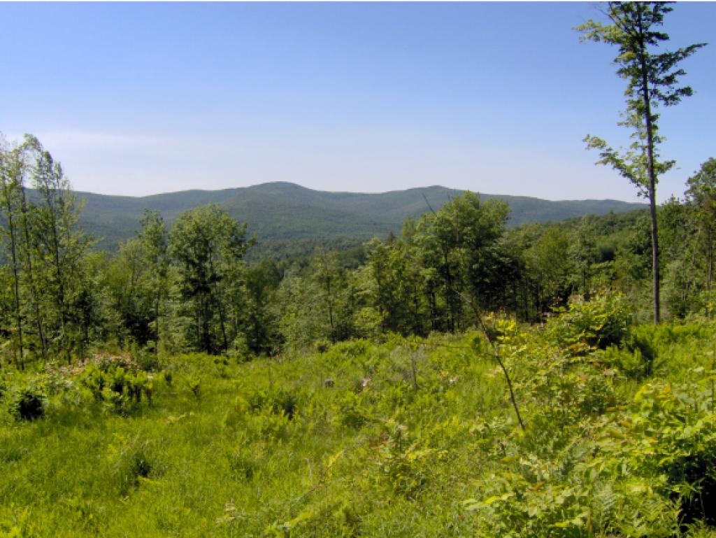 Rural Vermont Real Estate – Serving Randolph and Central VT