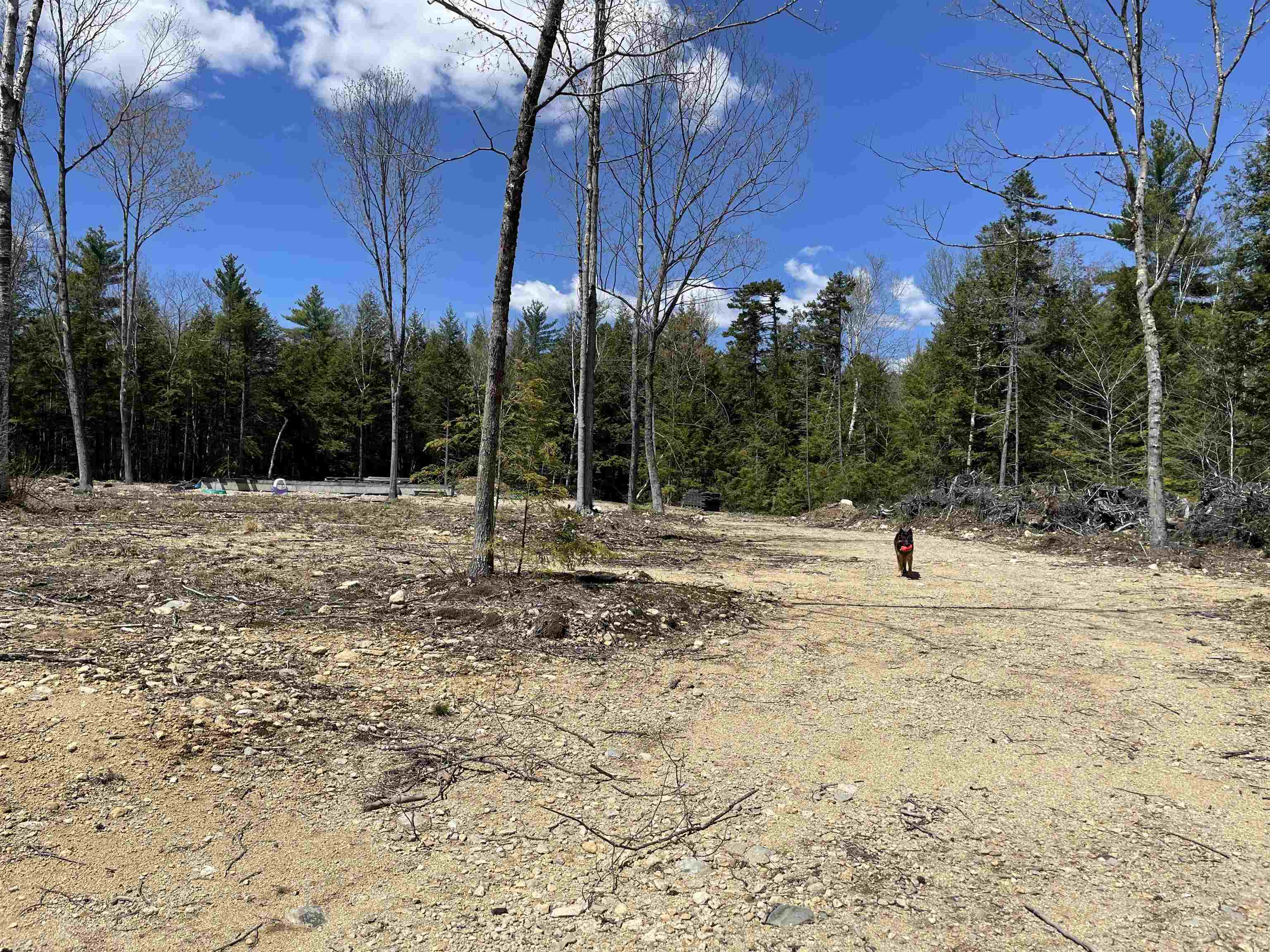 92 THURLEY ROAD, Ossipee, NH 03814 - PrimeMLS