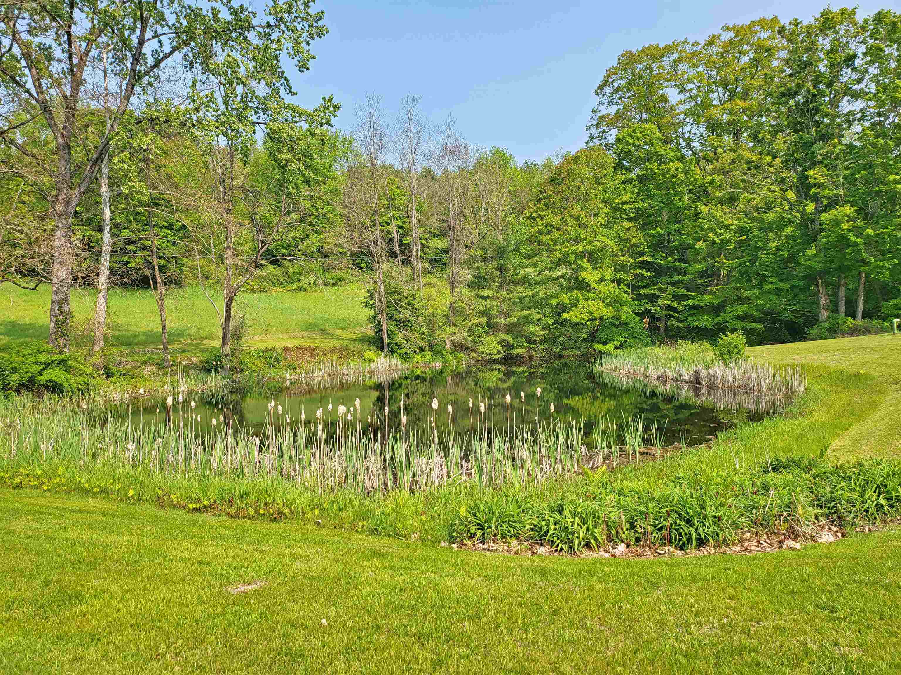 192 HILL ROAD, Brookline, VT 05345 - PrimeMLS