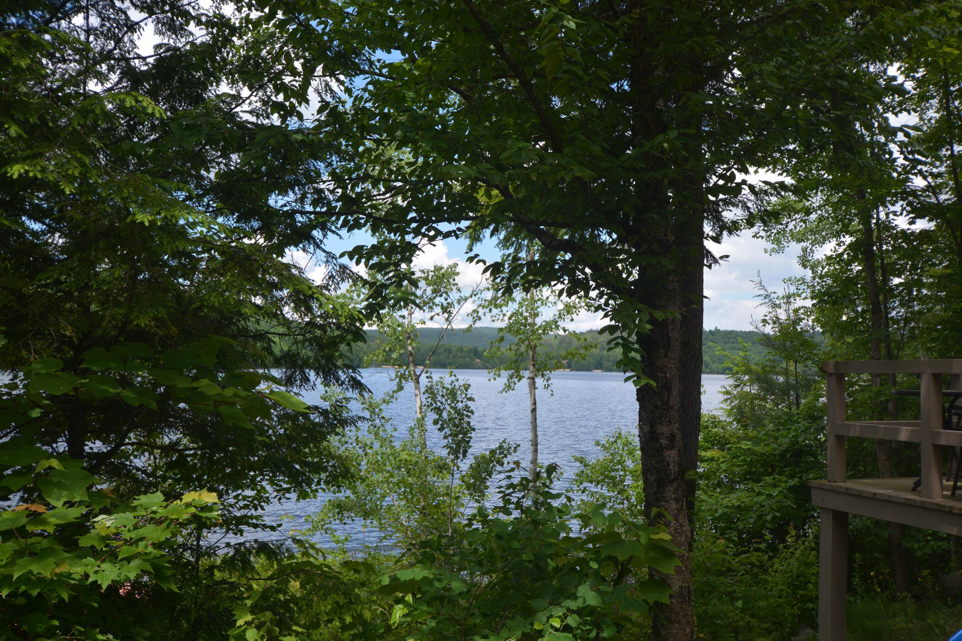 Eastman Pond Waterfront Real Estate For Sale