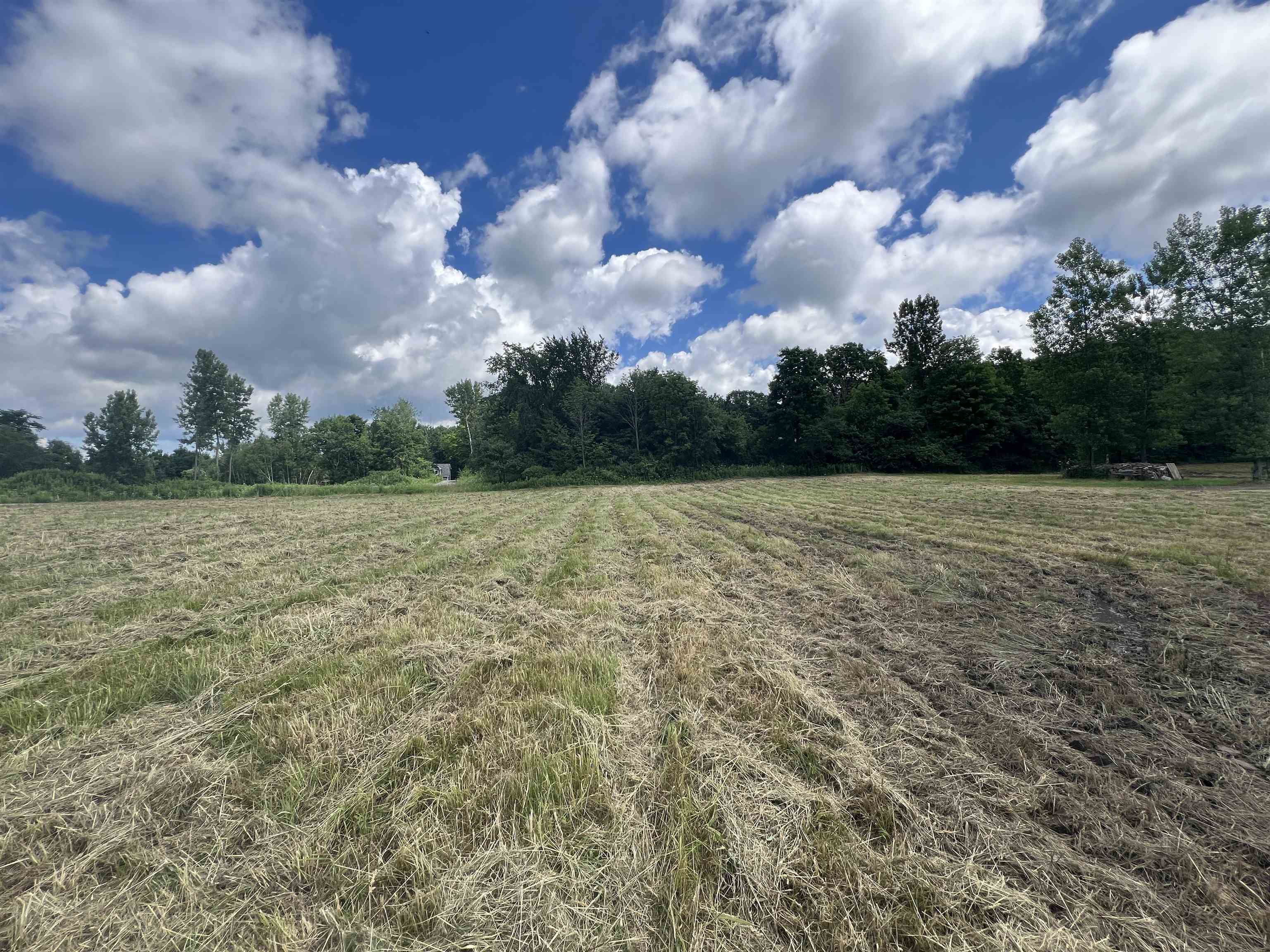 Tamithy Howrigan | St Albans, VT Real Estate Agents