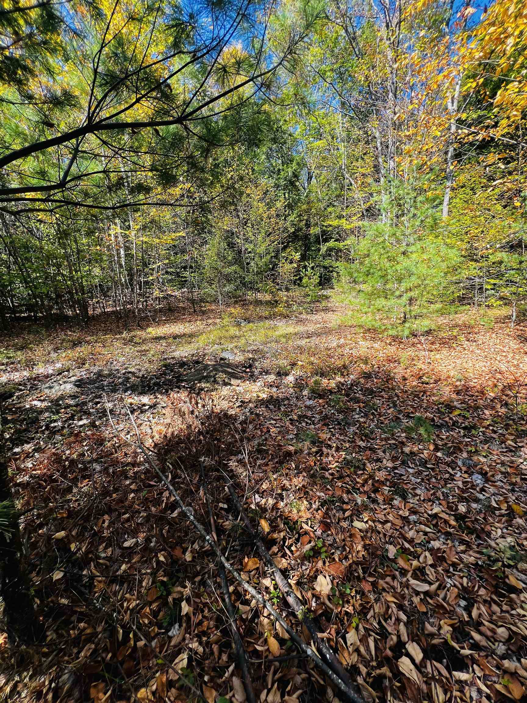 Map 408 Lot 39-1 Bullock Road , Richmond, NH | MLS# 5066134 | Verani Realty