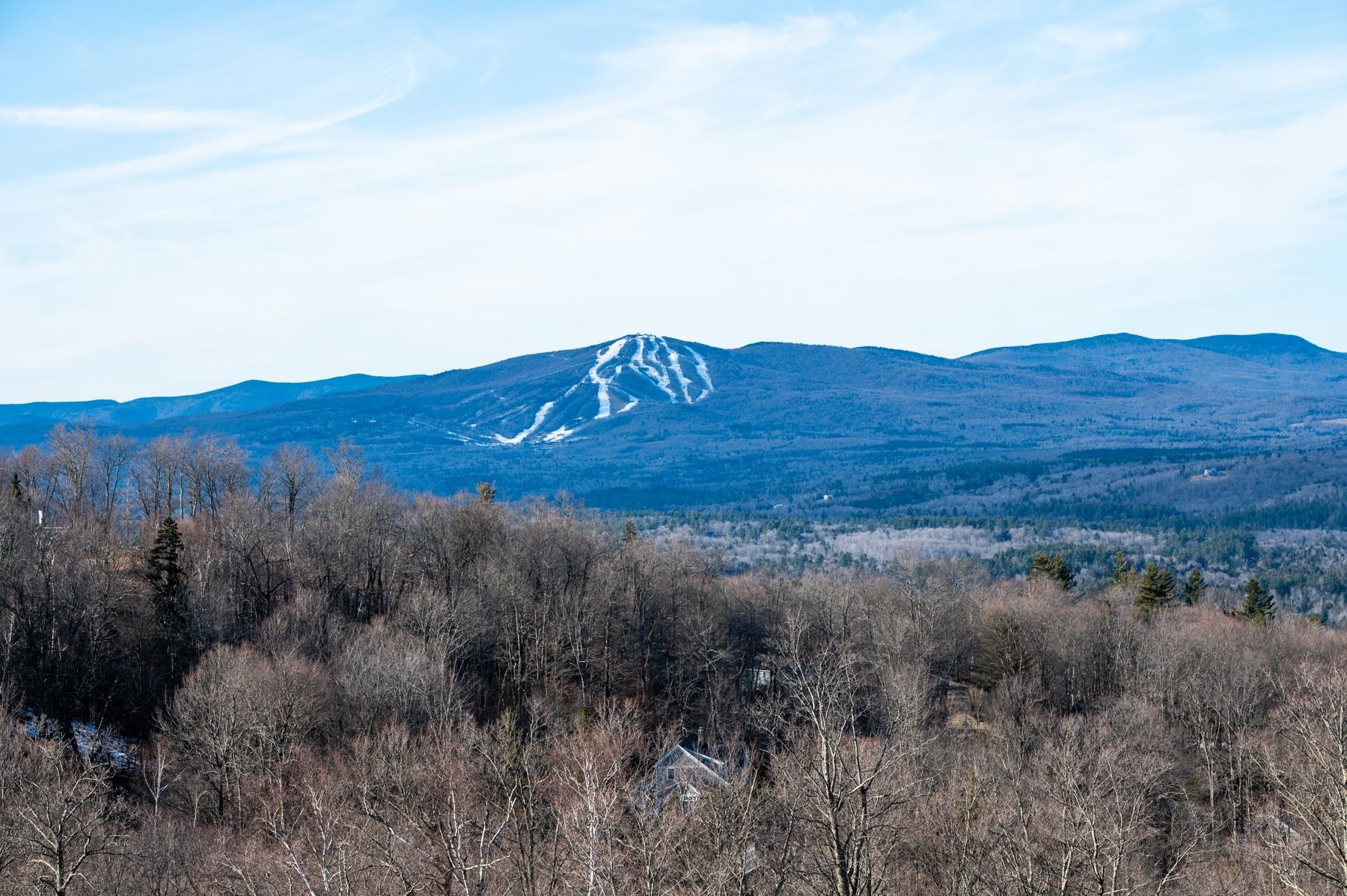 69 Benson Fuller Rd, Winhall, VT 05340 | MLS# 4988373 | Houzeo