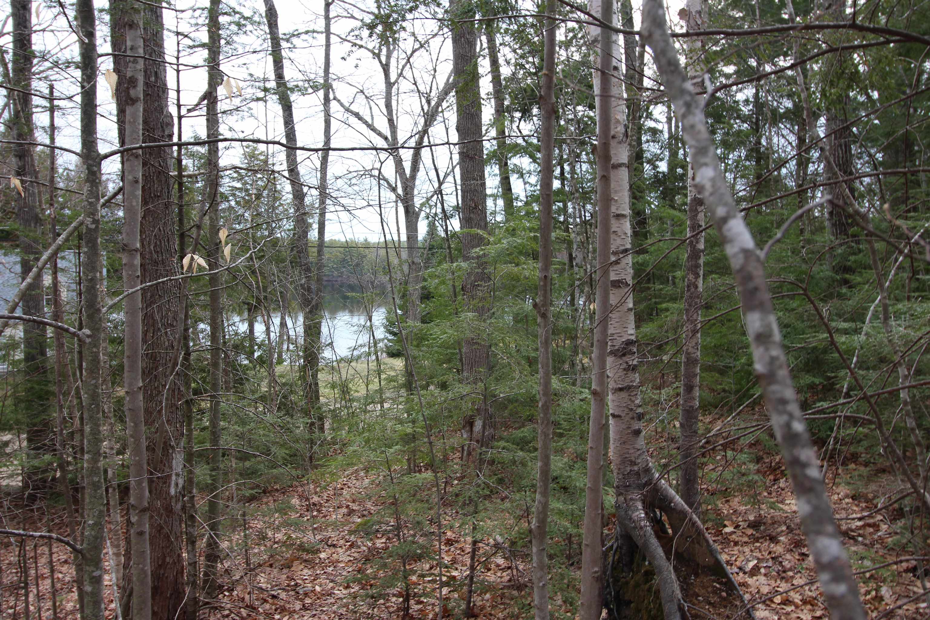 Lot 19 17 Northeast Pond Rd, Milton, NH 03851 | MLS# 5036938 | Houzeo