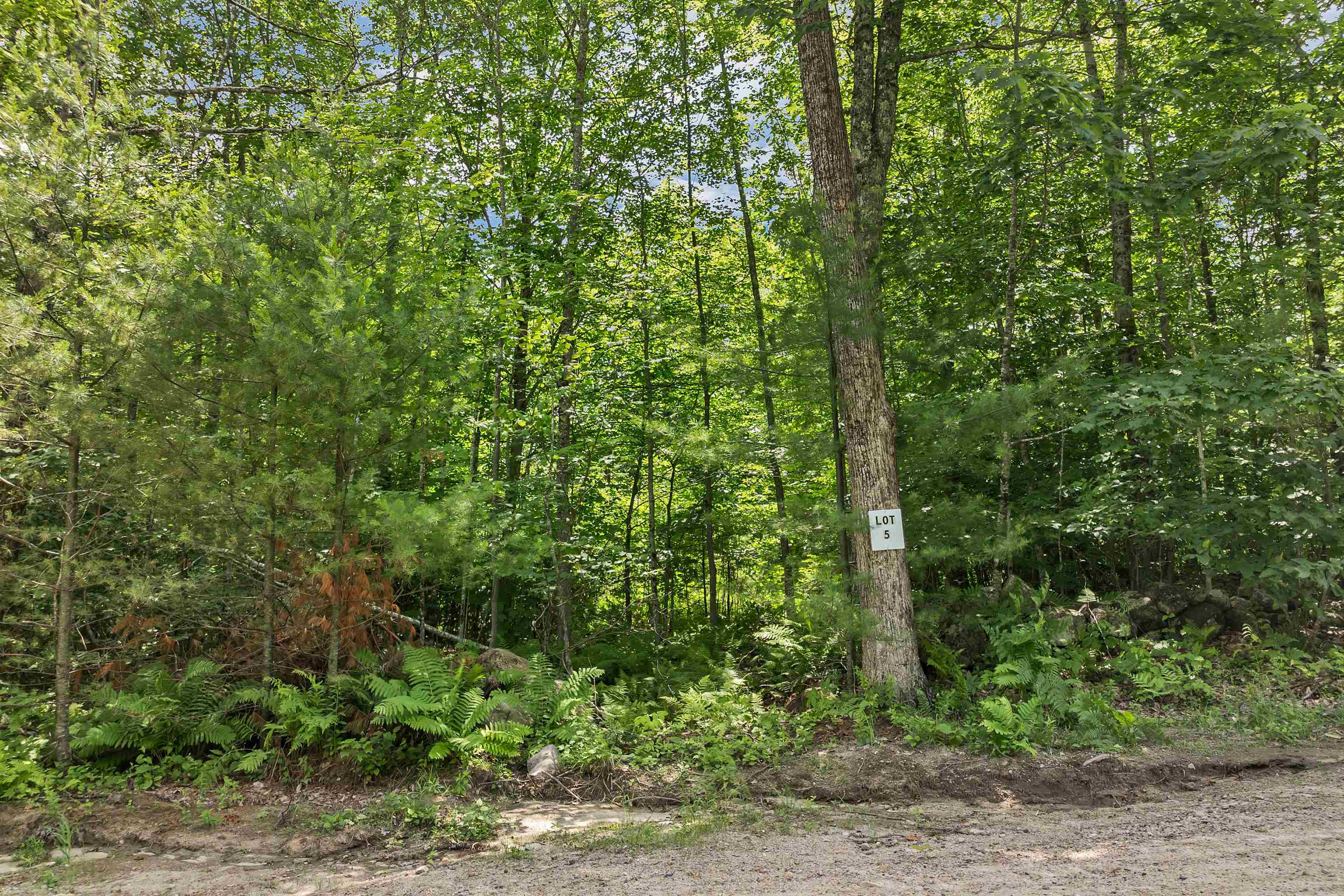 005a Phineas Graves Rd, Tuftonboro, NH 03816 | MLS# 5049924 | Houzeo