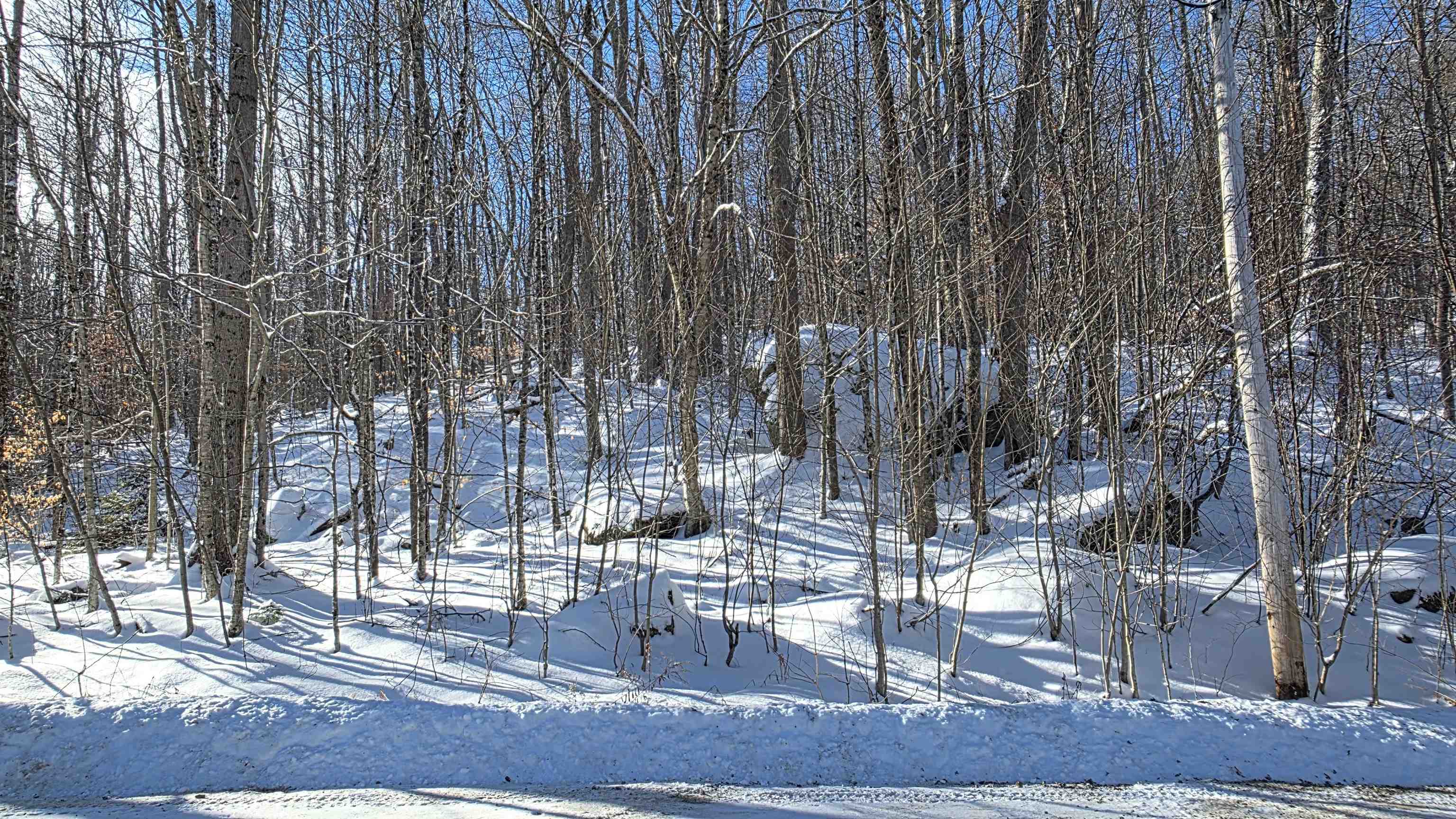 M111 L24&25 Tigola Trail , Stoddard, NH | MLS# 5072636 | Carey & Giampa ...