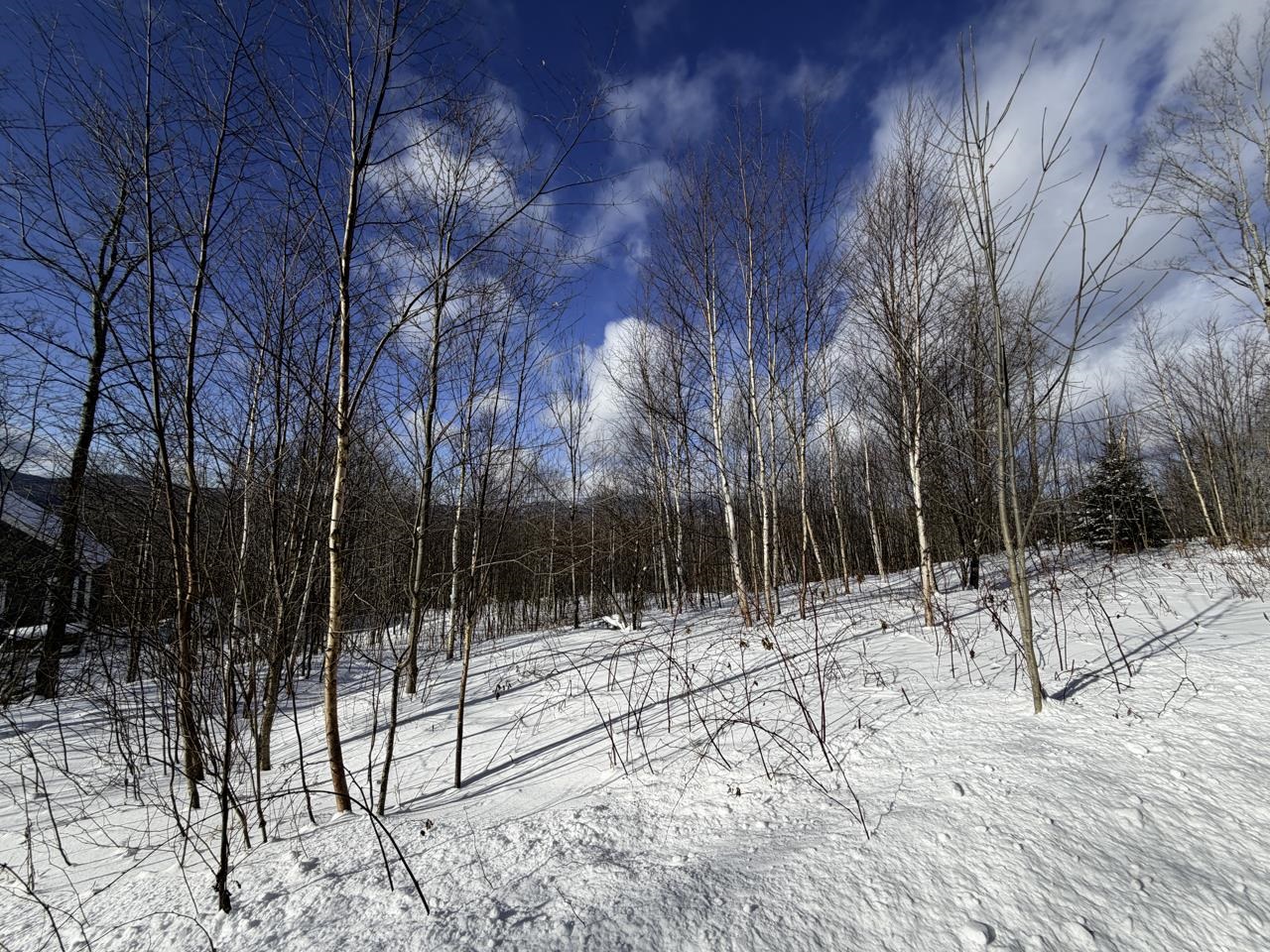 3 High View Road Warren