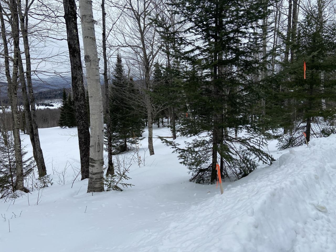 48 Alberts Lane Warren