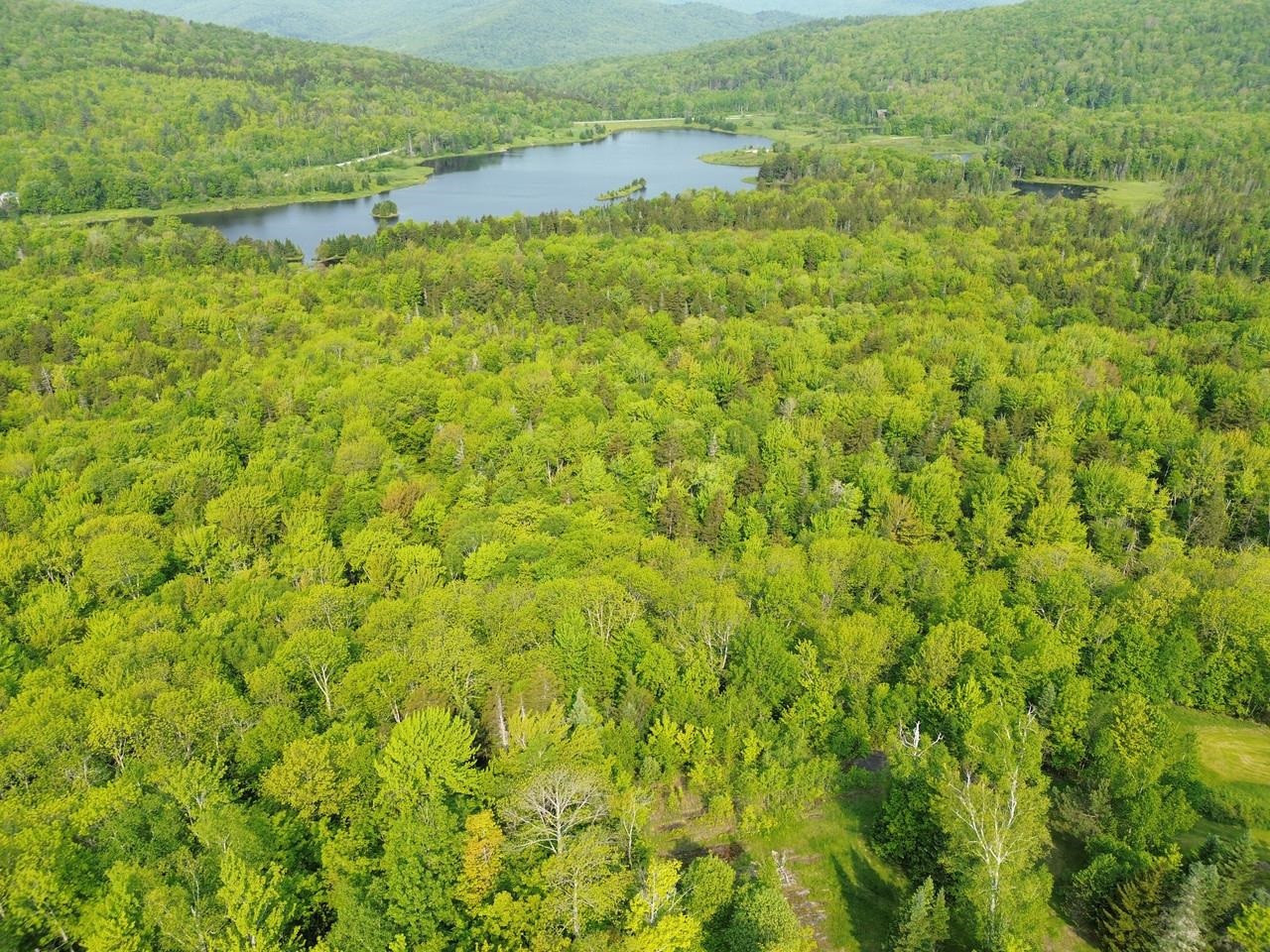 48 Alberts Lane Warren